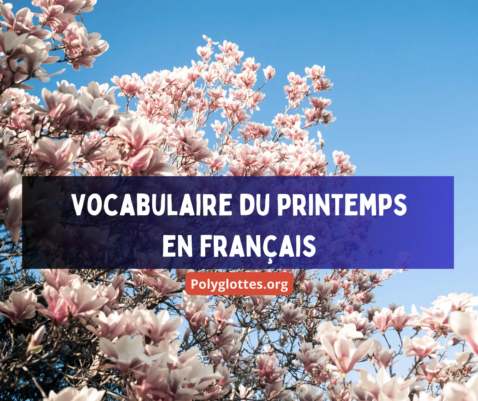 Vocabulaire du printemps : lexique et exercices pour apprendre le ...