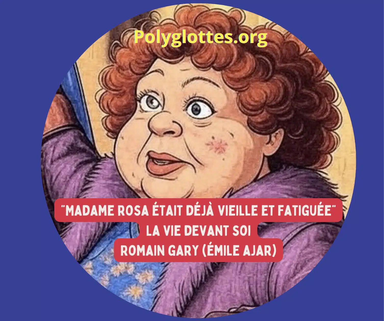 La vie devant soi "Madame Rosa était déjà vieille et fatiguée ...